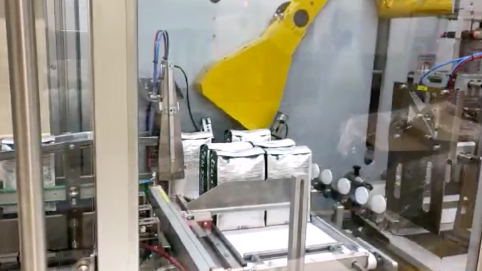 INCARTONATRICE Monoblocco Kompatta & Isola di Pallettizzazione ...